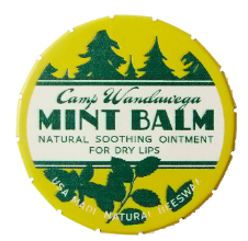Wisconsin Mint Lip Balm – Wandawega